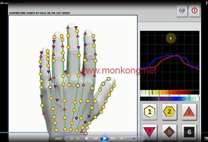 2016 Latest 3d bioplasm nls health scanner - MAIKONG Quantum Magnetic ...